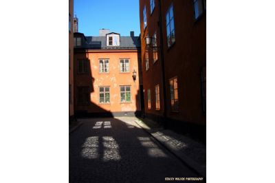 Stacey Wilcox : iPrintfromHome.com